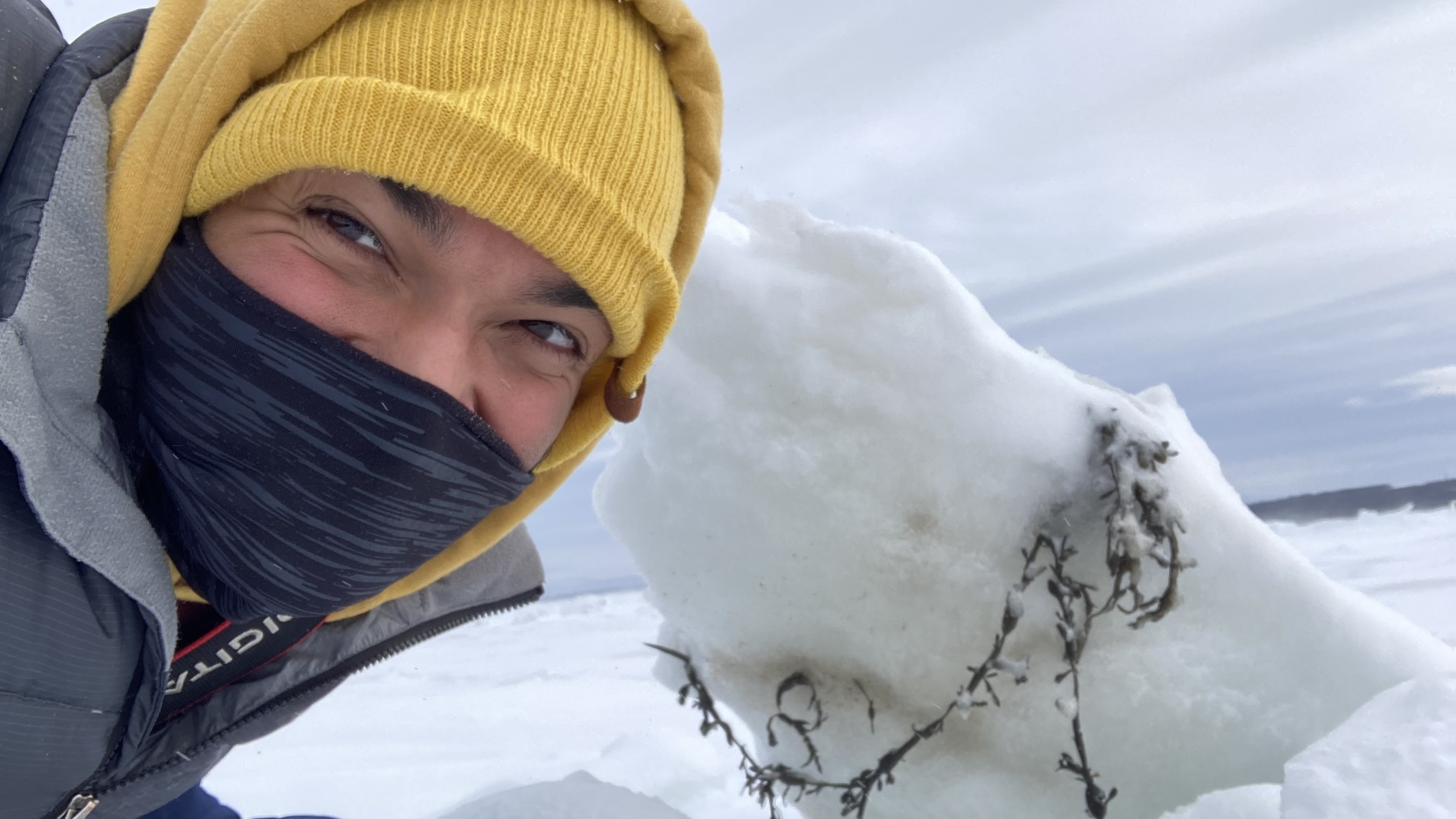 Blog posts - KM in the north